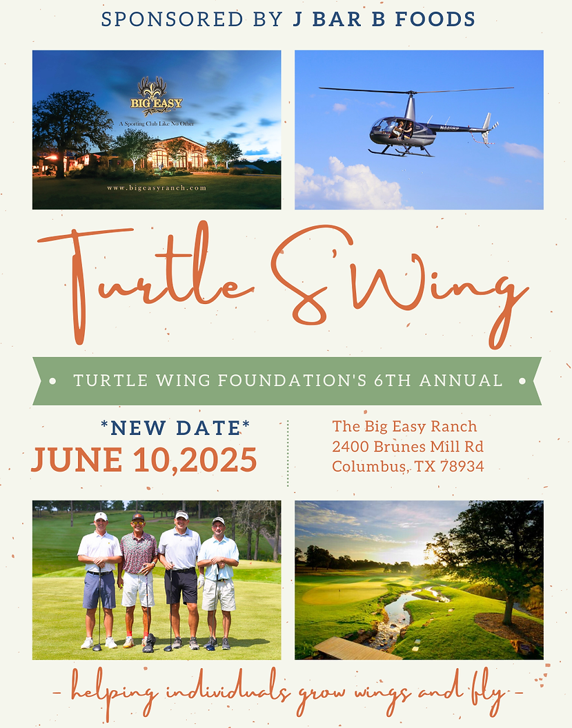 2025 S'WING | Turtle Wing
